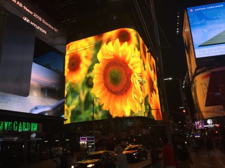 Analog Way Partners with SNA Displays to Drive the Highest-Resolution ...