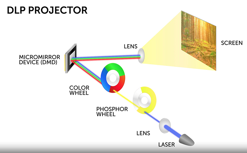 Projectors | PLSN