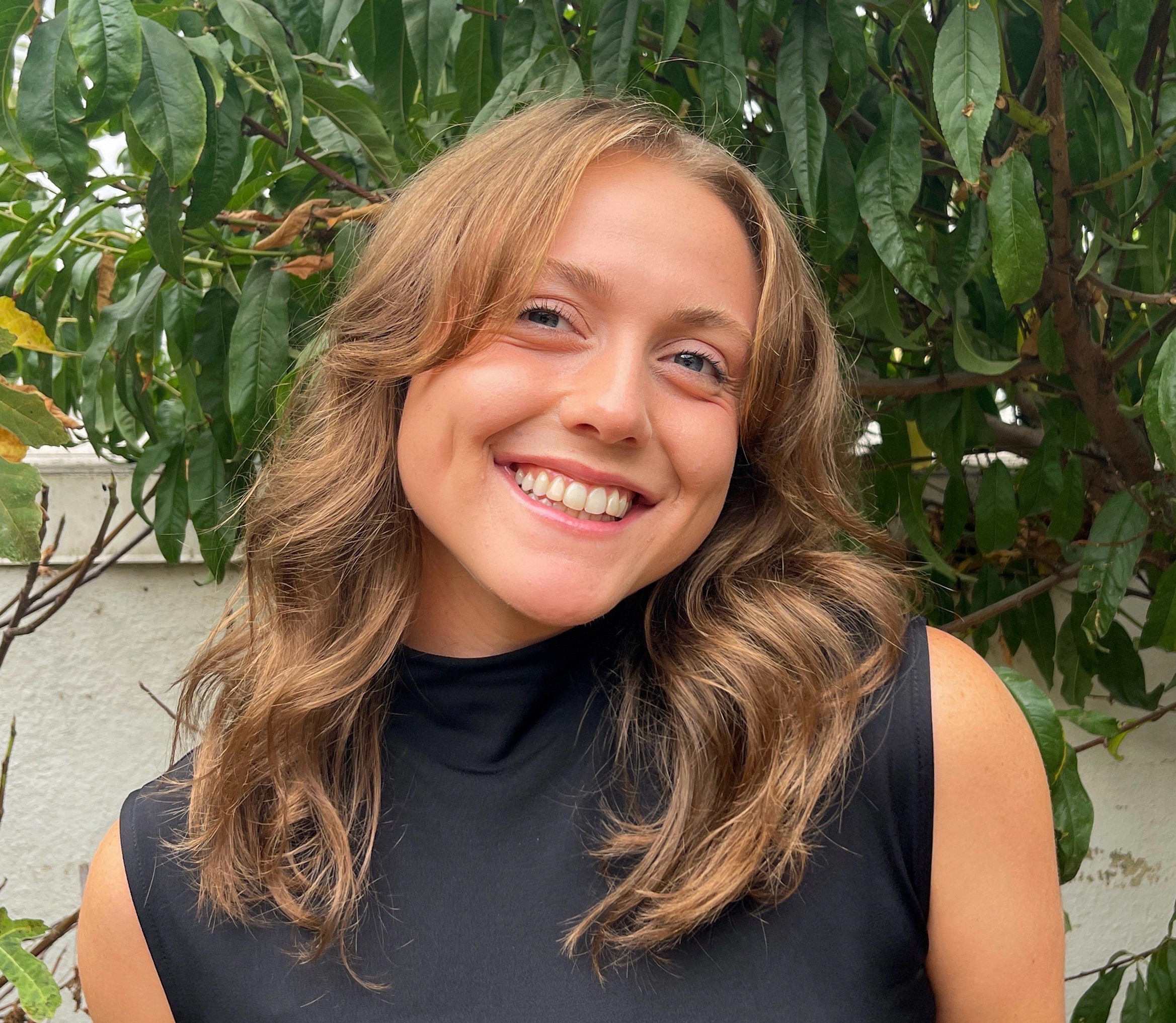 Wenger Corporation Acquires Texas Scenic Company | PLSN