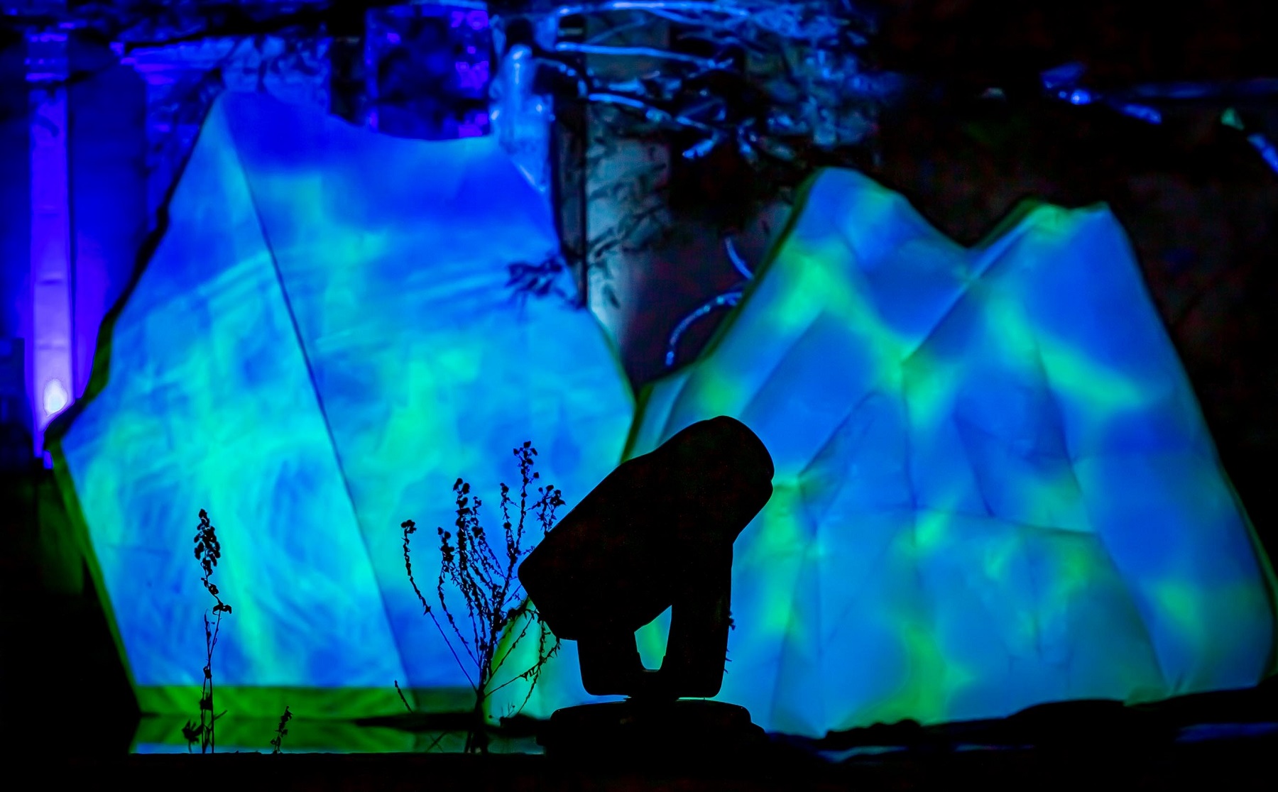 LumiNature at Philadelphia Zoo Relies on Elation Proteus Fixtures | PLSN