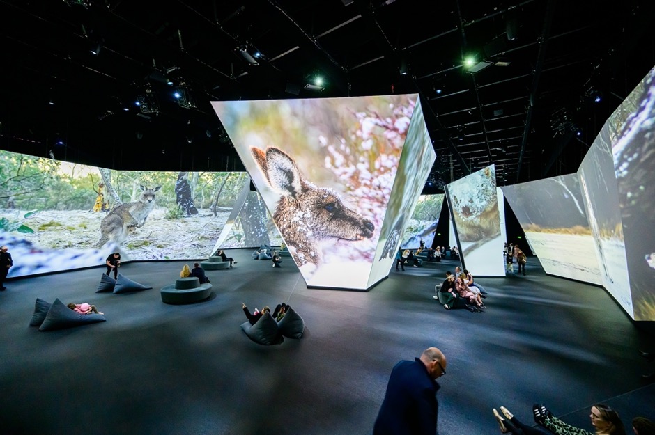 Watch Behind the Scenes with TDC and HIVE at BBC Earth Experience ...